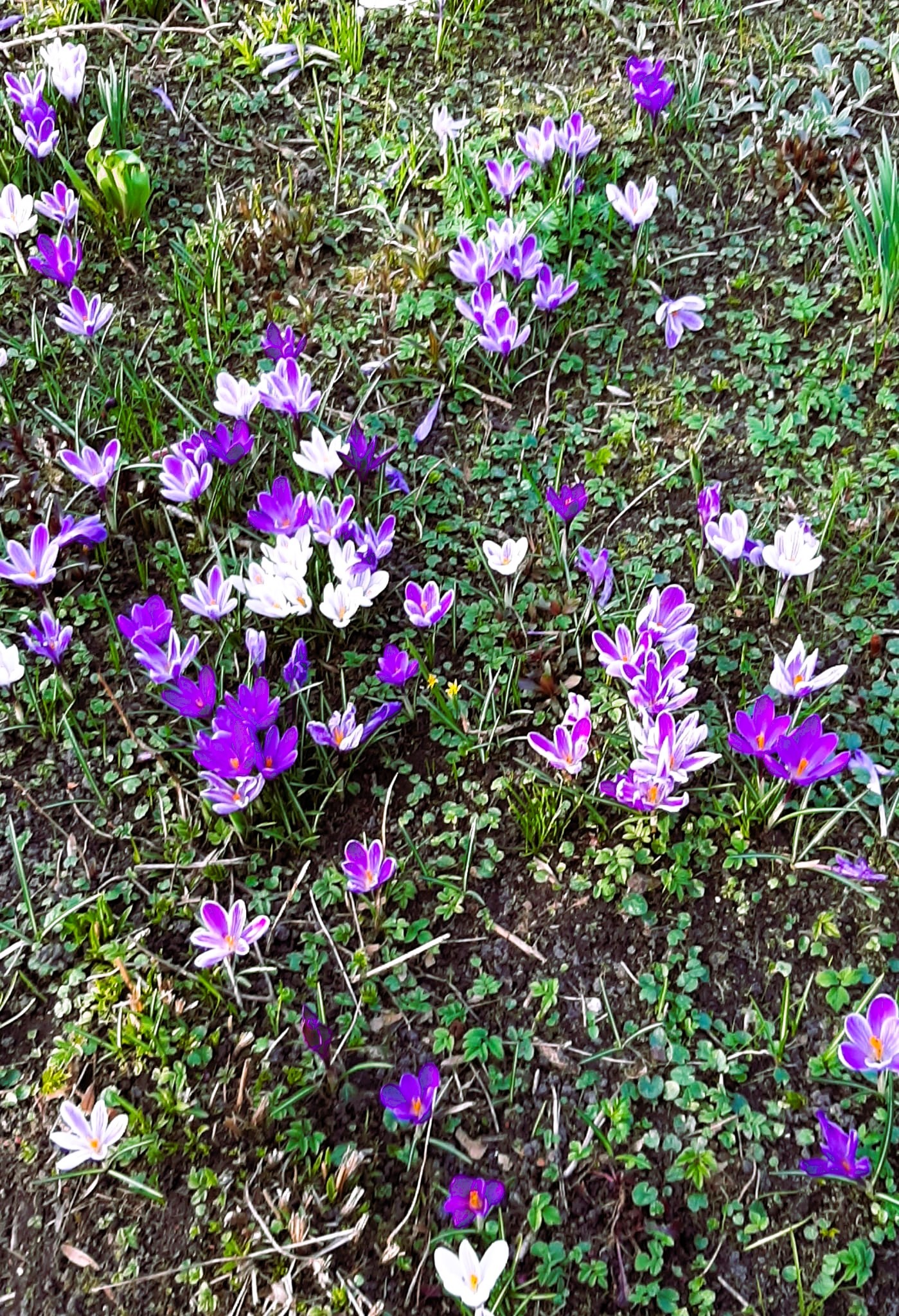 Karate Buchin Osterferien // Karate Buchin